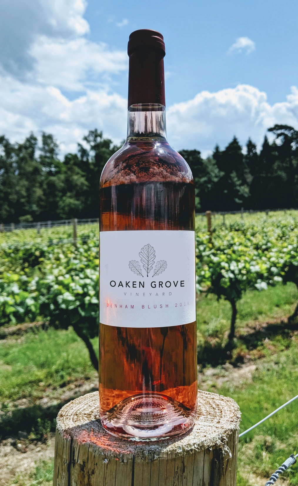 Benham Blush - Oaken Grove Vineyard
